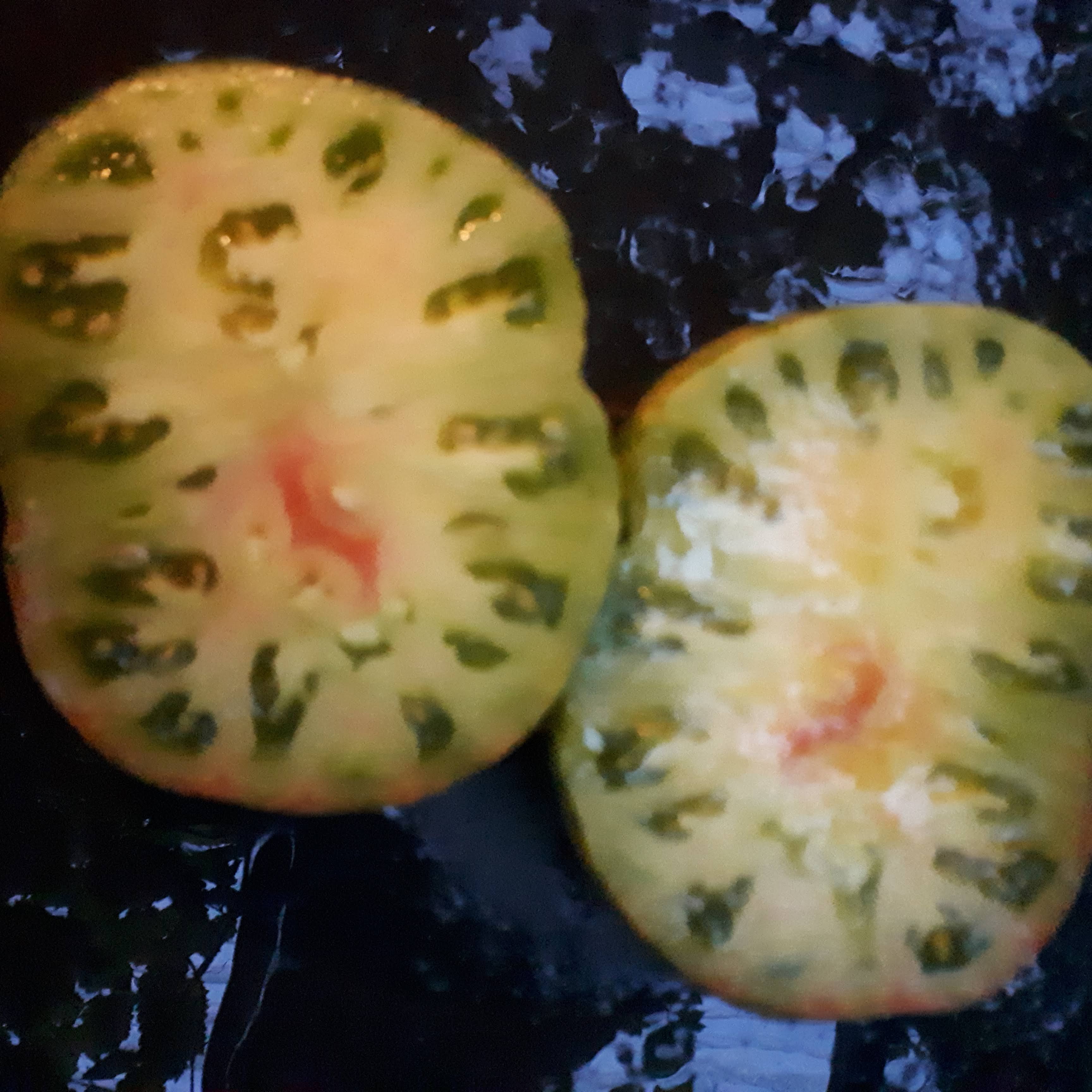 Ananas Zebra Verde – Karierte Tomate